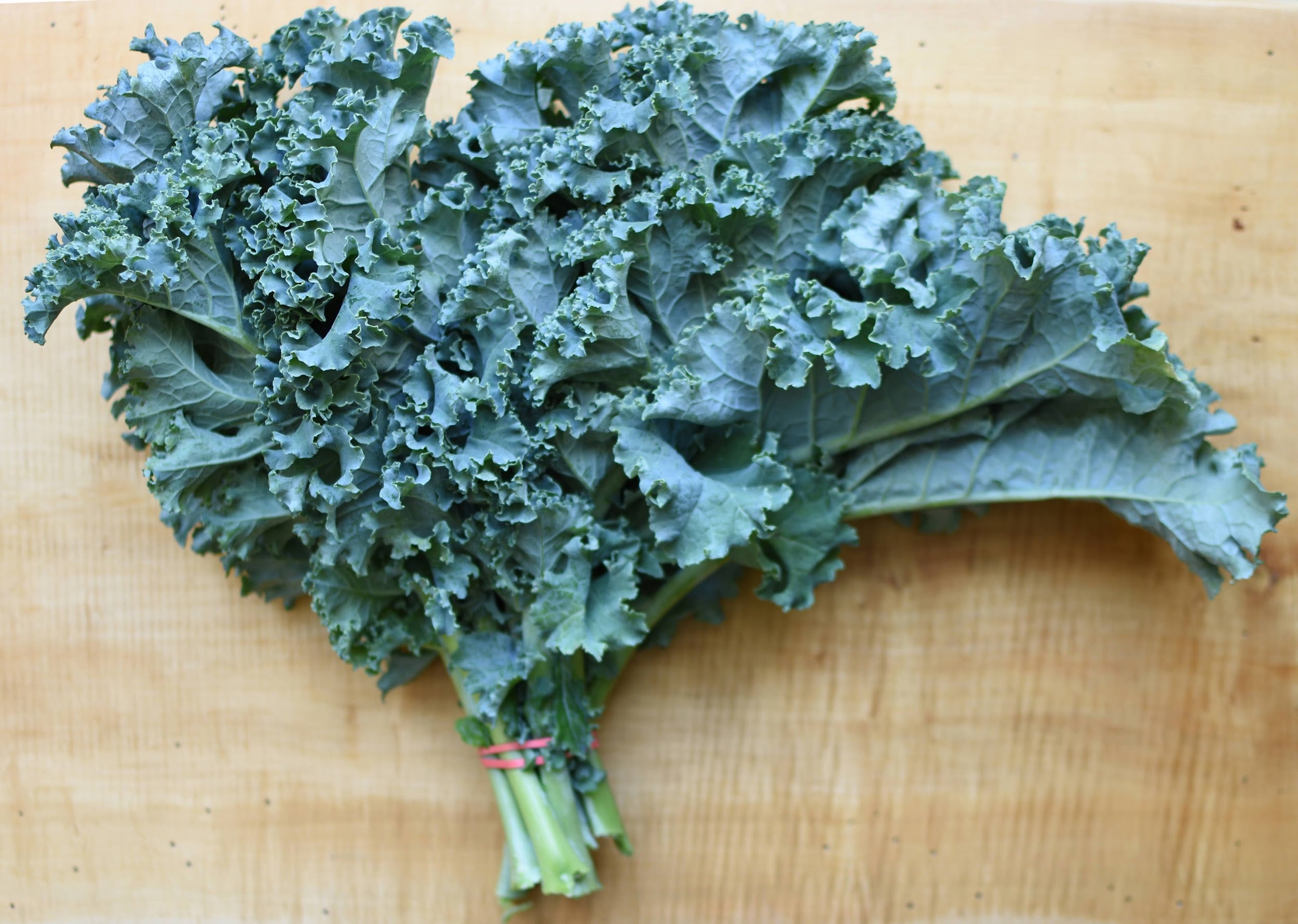 Kale – Common Ground Farm