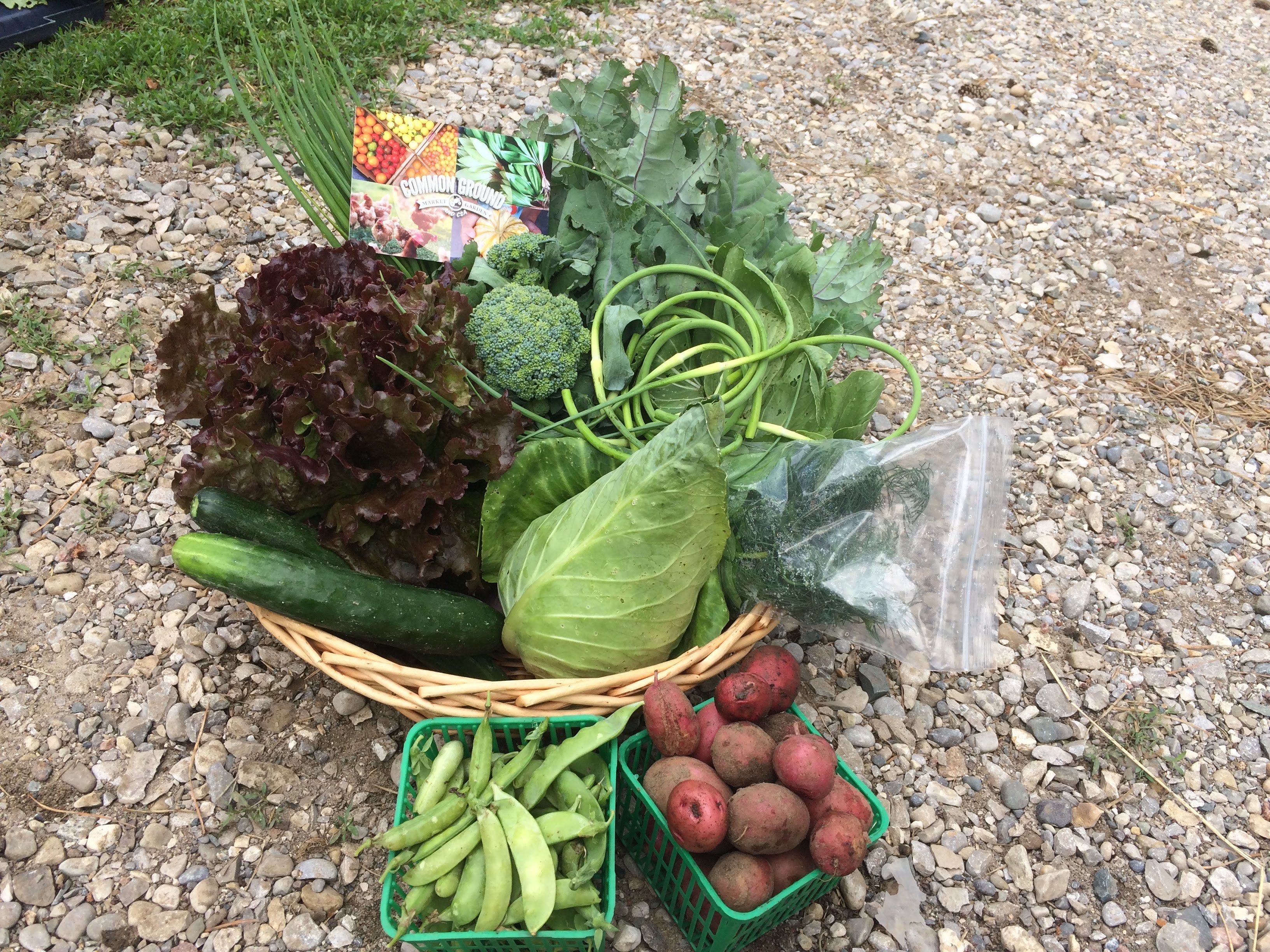 Farm Store – Common Ground Farm