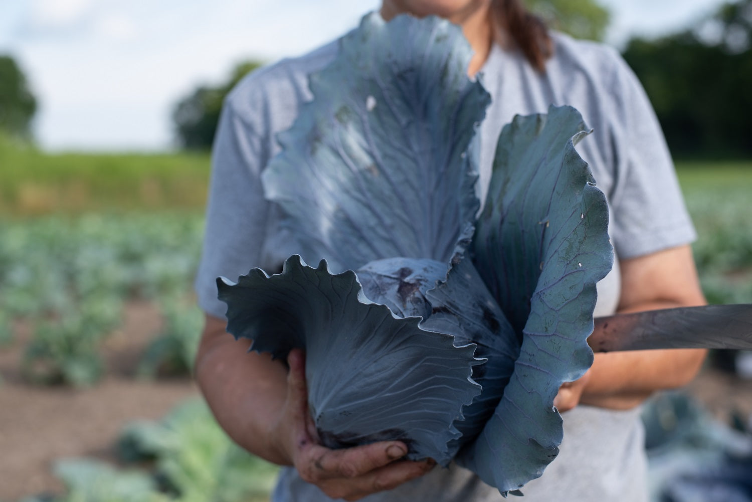 About – Common Ground Farm