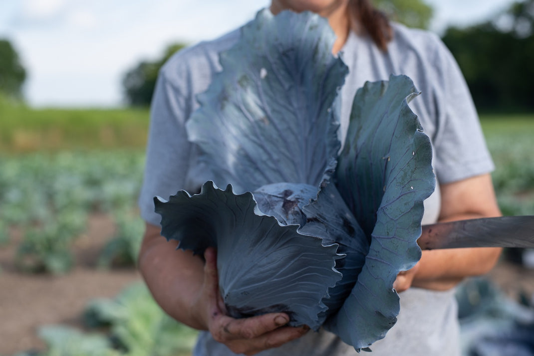 About – Common Ground Farm