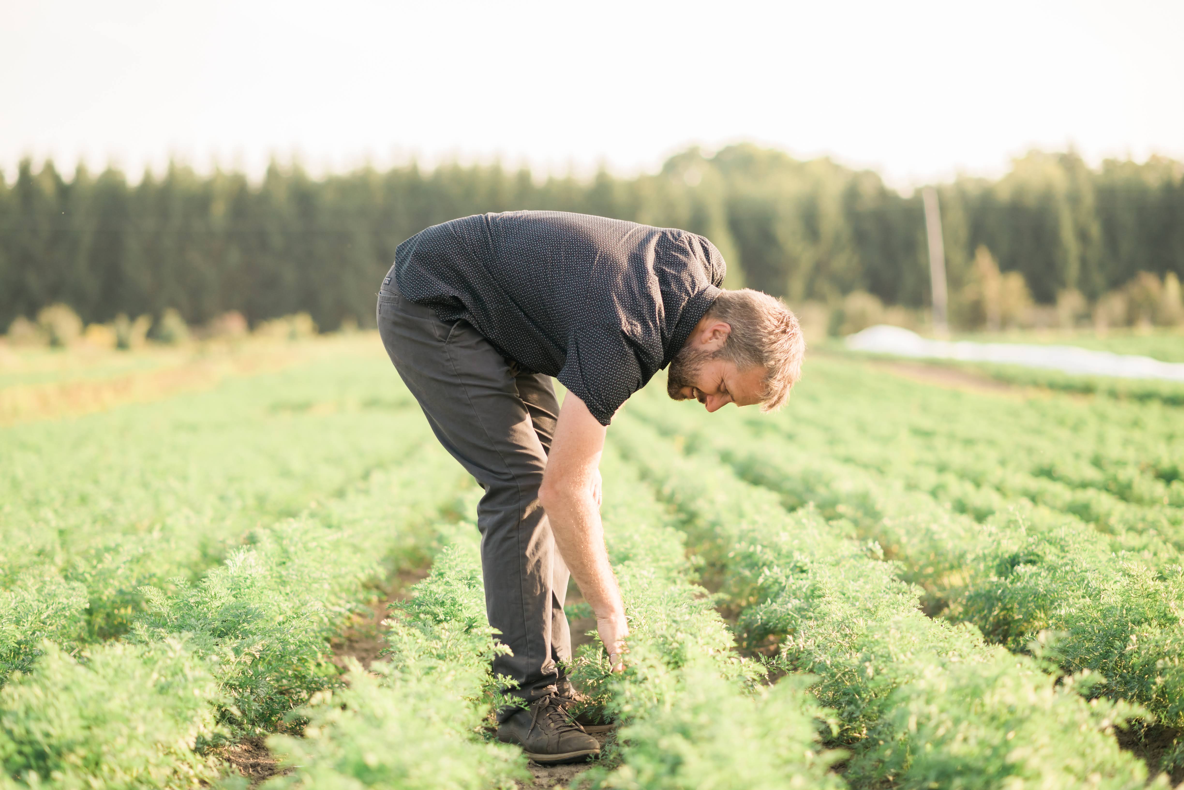 About – Common Ground Farm