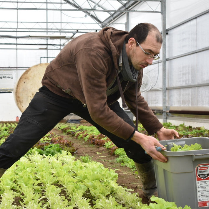 About – Common Ground Farm